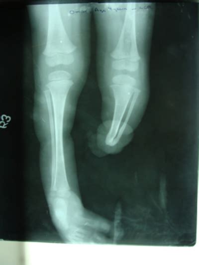 Internet Scientific Publications