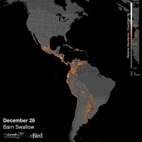 New Animated Map Of Barn Swallow Maritimes Swiftwatch Facebook