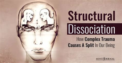 Structural Dissociation How Complex Trauma Causes A Split In Our Being