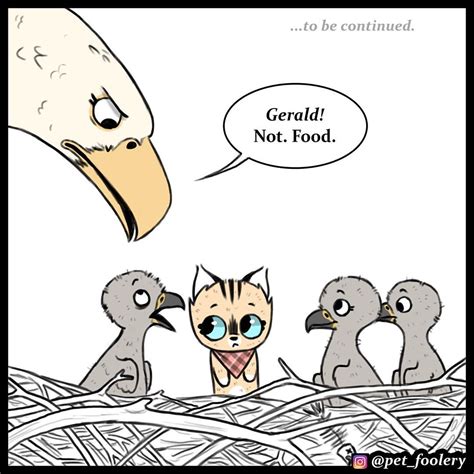 Needs Her Daily Dose Of Love Square Pixie And Brutus A Brush With Freedom