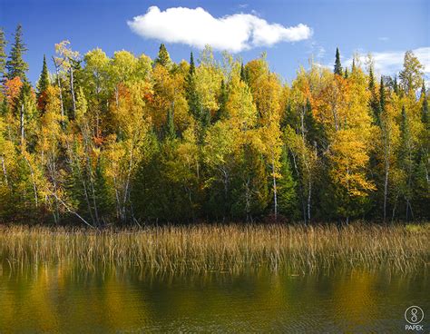 Turtle Lake Turtle Lake Minnesota Scott Papek Fine Art Photography Landscape Photographs