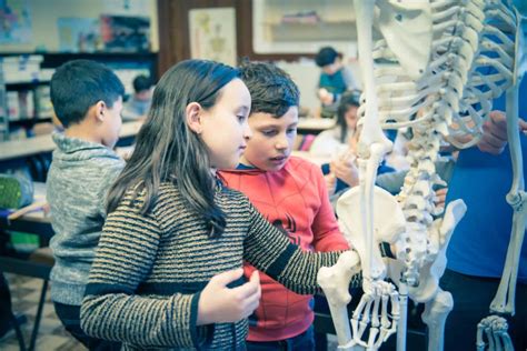 Le Squelette Cap Sciences