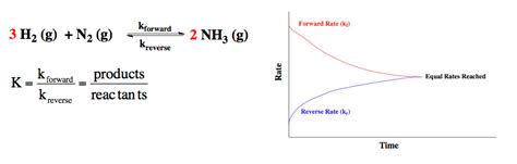 The Equilibrium State Explained Definition Examples Practice And Video