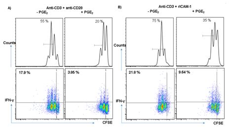 Icam 1 Overexpression Counteracts Immune Suppression By Tumour Cell Derived Pge 2 To Restore Ctl