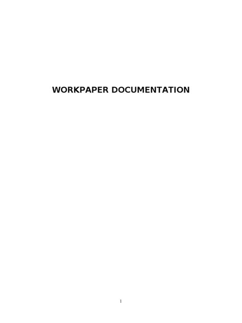 Workpaper Documentation Pdf