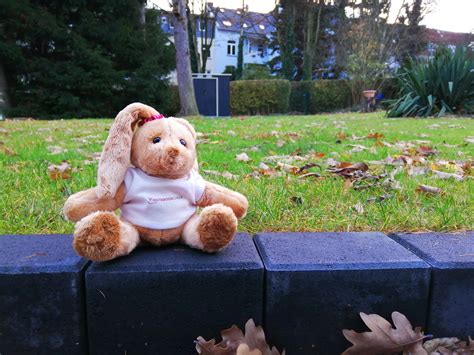 Huawei P Smart Smartphone Review Notebookcheck Net Reviews