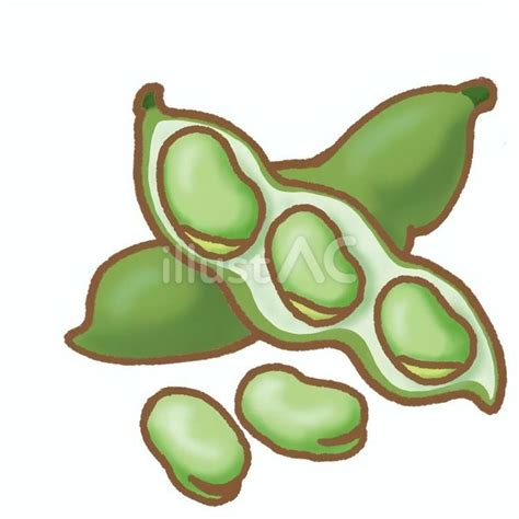 そら豆イラスト No 23795584｜無料イラスト・フリー素材なら「イラストac」
