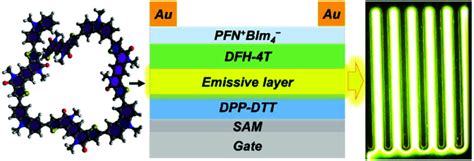 Foldable Semi Ladder Polymers Novel Aggregation Behavior And High