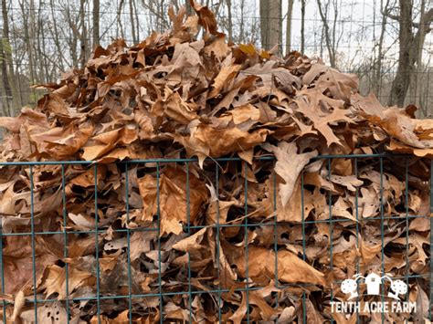 How To Keep Persistent Herbicides Out Of Your Compost Bin Tenth Acre Farm