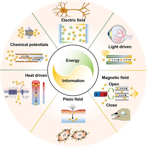 Bioinspired Ionic Control For Energy And Information Flow Tfo