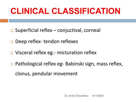 Reflex Physiology Pptx