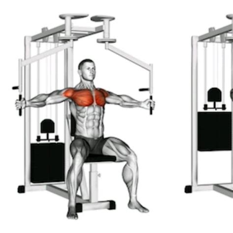 Machine Pec Fly By D Rodney Exercise How To Skimble