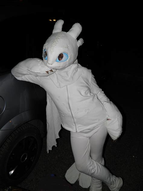 Toothless And Light Fury Costume Light Fury Cosplay