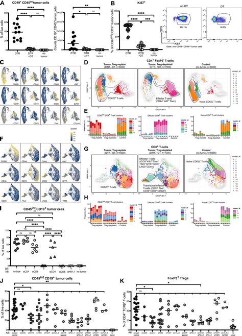 Treg Selective Il 2 Starvation Synergizes With Cd40 Activation To
