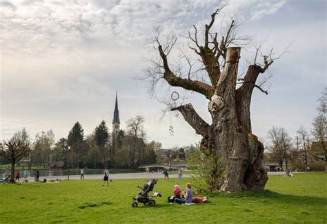 Villette Parque En La Ciudad Del Cham Cantón De Zug Suiza Imagen De