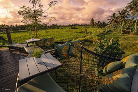Ubud Sunset Pool Bar Day Pass Klook