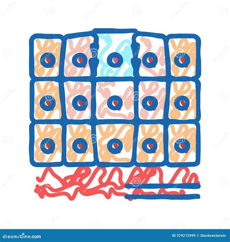 Epithelial Tissue With Goblet Cells Goblet Cell Structure Illustration Mucus Secreting Human