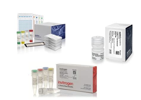 Applied Biosystems Taqman Fast Advanced Master Mix Gene Expression