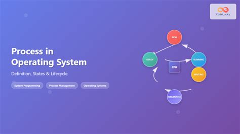 Memory Allocation Techniques Contiguous Vs Non Contiguous Management