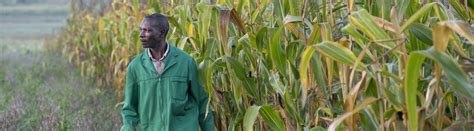 Promoting Conservation Agriculture In Zimbabwe Tractors For Sale In Zimbabwe