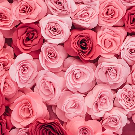 Rose Pattern Wallpaper