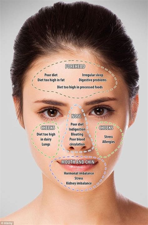 Chinese Face Mapping Skin Analysis The Whoot Face Mapping Acne