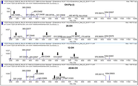 Representative Extracted Ion Chromatogram Eic Of Hydroxylated