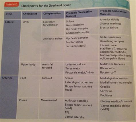 Dynamic Postural Assessments Flashcards Quizlet
