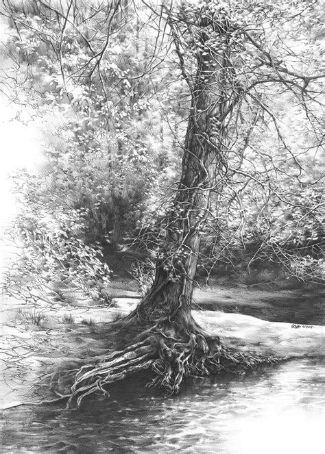 Realistic Tree Drawing At Explore Collection Of Realistic Tree Drawing