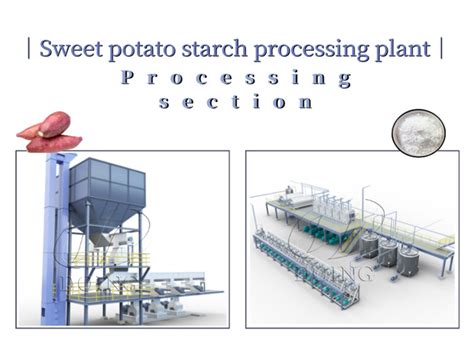 Sweet Potato Starch Production Plant Cassava Starch Processing Machine