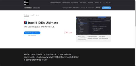 intellij idea 如何通过账号密码激活 笨鸟编程导航