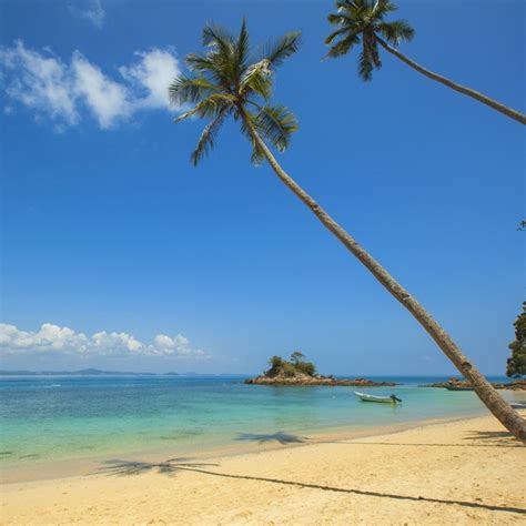 Daniel Ebanks Posted On Linkedin