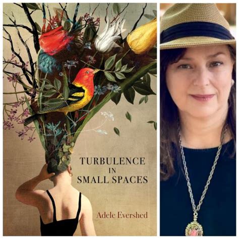Turbulence In Small Spaces By Adele Evershed Finishing Line Press