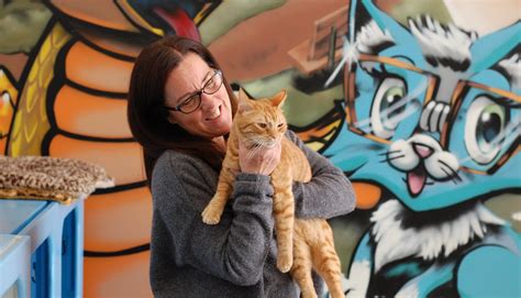 5 Facts About Tabby Cats 5 Facts About Tabby Cats