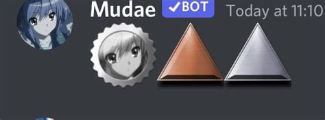 What Is This Badge Rmudae