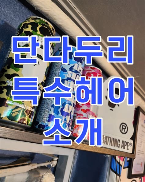특수머리 전문샵 단다두리 • 서울 레게머리 • 드레드락 • 브레이즈 • 블레이즈 • 콘로우 • 핀펌 • 아프로펌 나뭇잎
