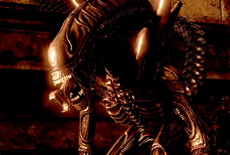 Alien Vs Predator Spill Pc Aliens Vs Predator Pc Preview
