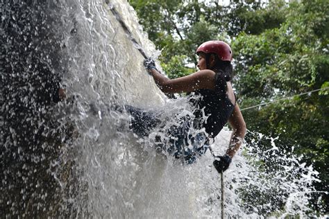 Free Images Tree Rock Waterfall Adventure River Vacation Jungle
