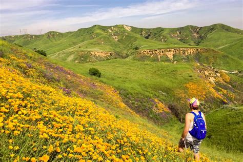 These Are The Best Hiking Trails In Orange County Los Angeles Times