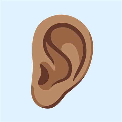 Emoji 👂🏽 Ear Medium Skin Tone Meaning And Details