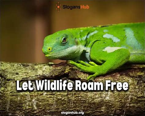 200 Eco Friendly Slogans To Promote Sustainability In 2026