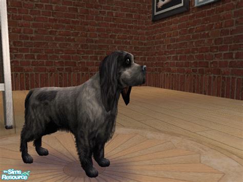 The Sims Resource Cocker Spaniel Blueblack