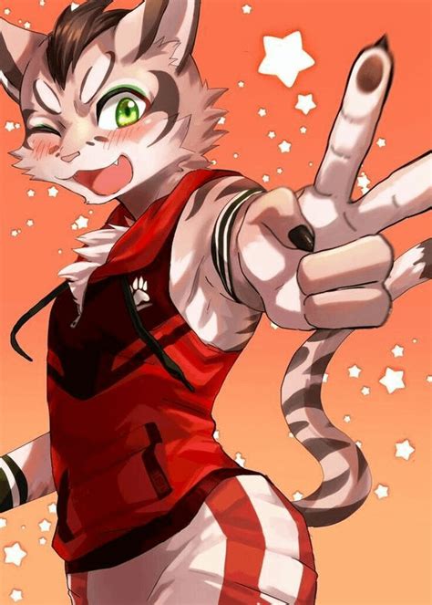 Shu Chi Cutie Rnekojishigame