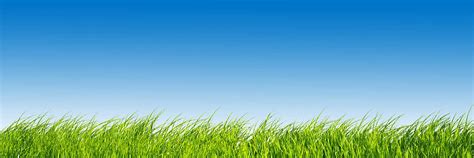 Green Grass Panorama With Blue Sky Pasto Background Grass Background Vector Pasto Background