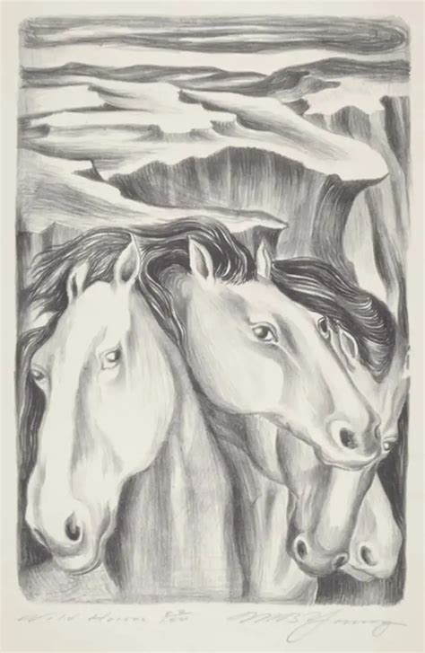 Beckford Young Wild Horses Picture Color Codes