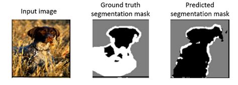 使用pytorch进行高效图像分割：第二部分 四海吧