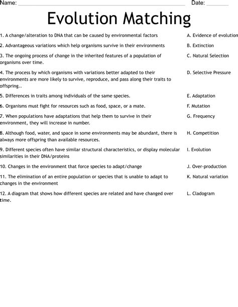 Evidence Of Evolution Comparative Anatomy Worksheet Answer Key