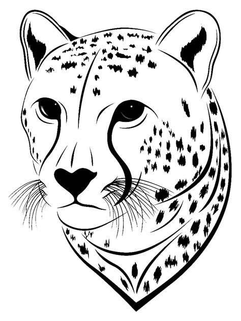 20 Cheetah Coloring Pages Free Printable Pdf And Online Coloring