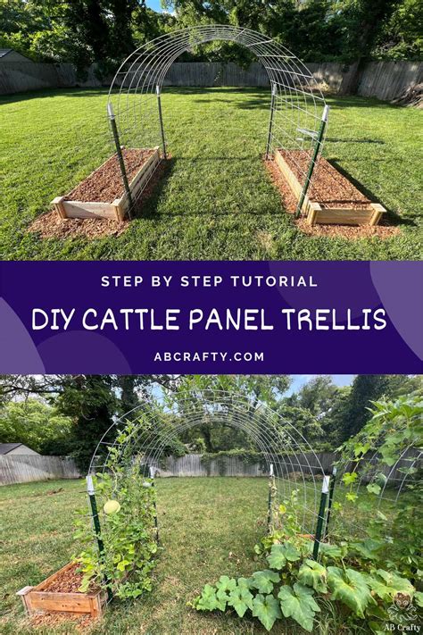 Diy Cattle Panel Trellis Easily Make Your Own Garden Arch Ab Crafty