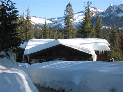 Your Ultimate Sequoia And Kings Canyon National Park Winter Travel